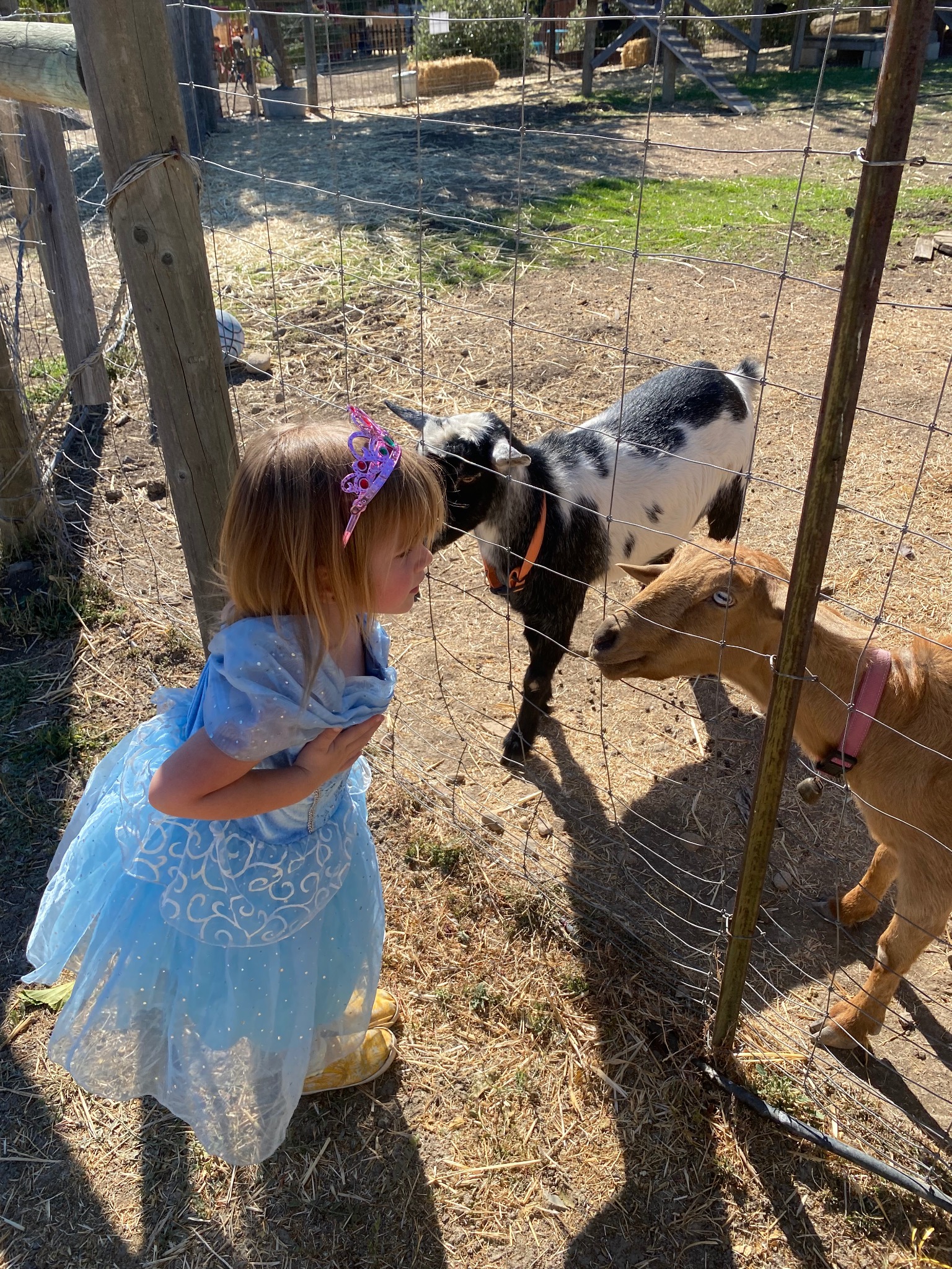 Masie | Junior Ranger