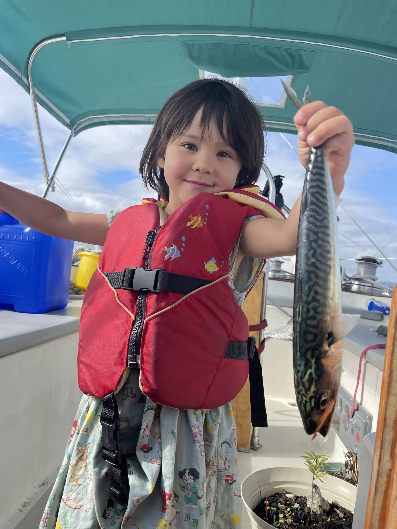 Pebble | Junior Ranger